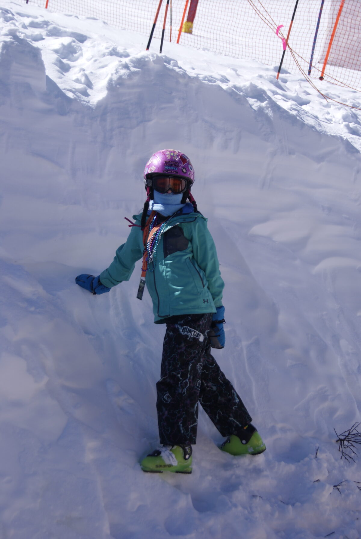 About Us – Snowdodgers